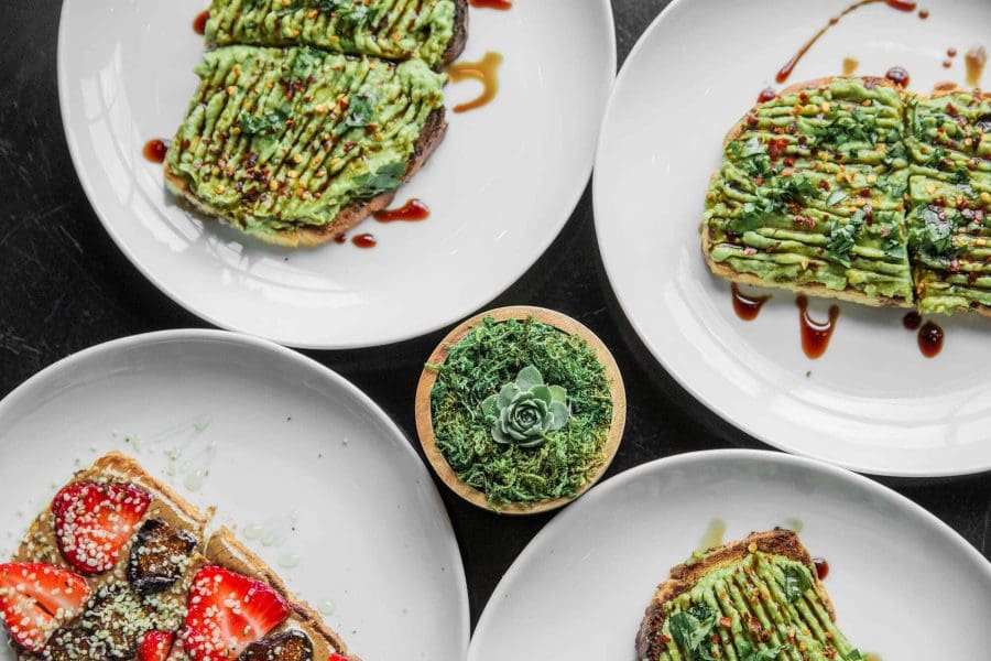 Visual Experience - Gilmer County Chamber