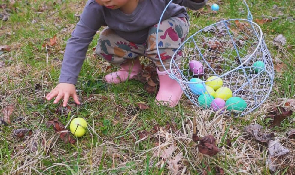 It's Springtime! - Gilmer County Chamber