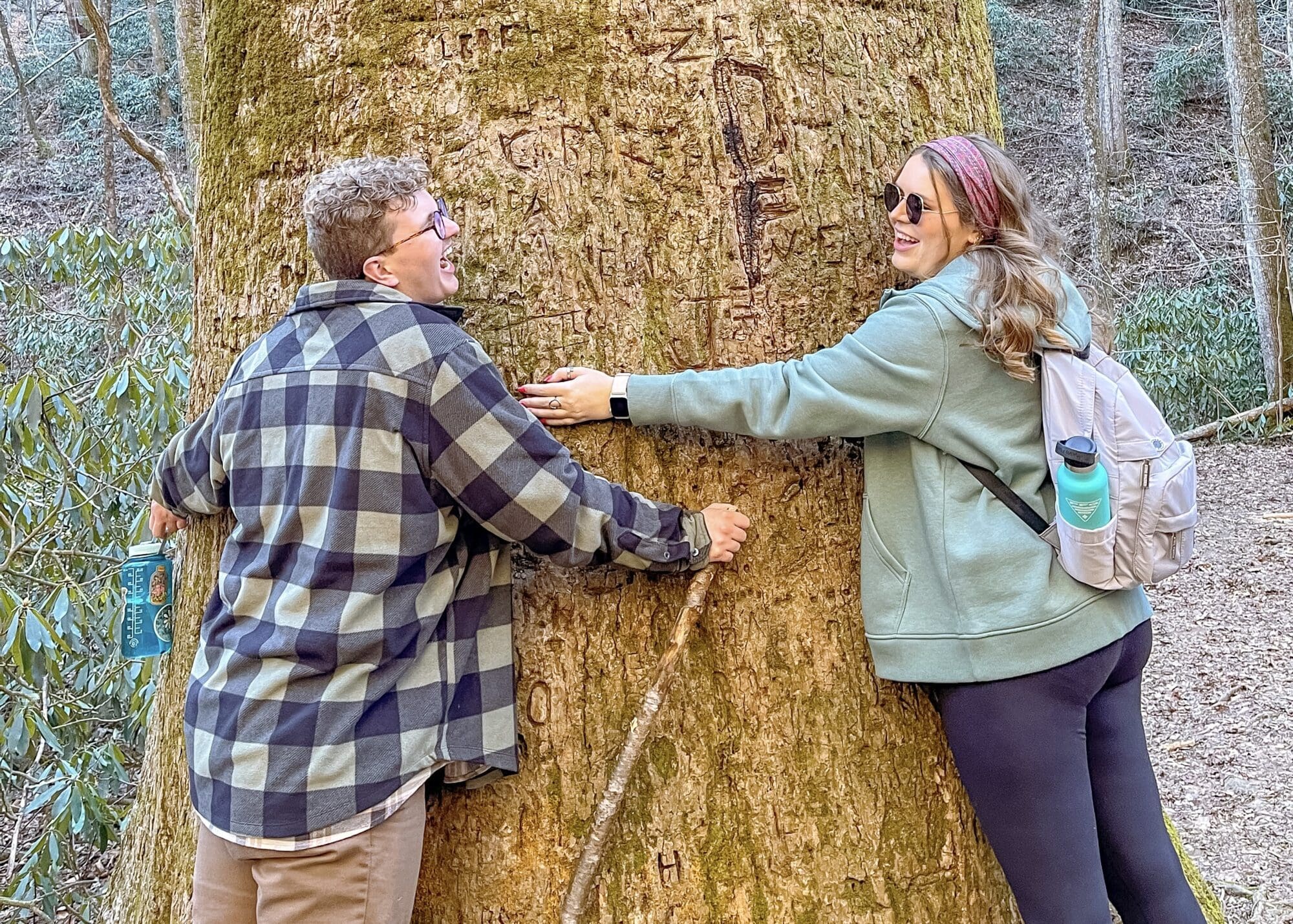 10 Picture-Perfect Spots In Ellijay - Gilmer County Chamber