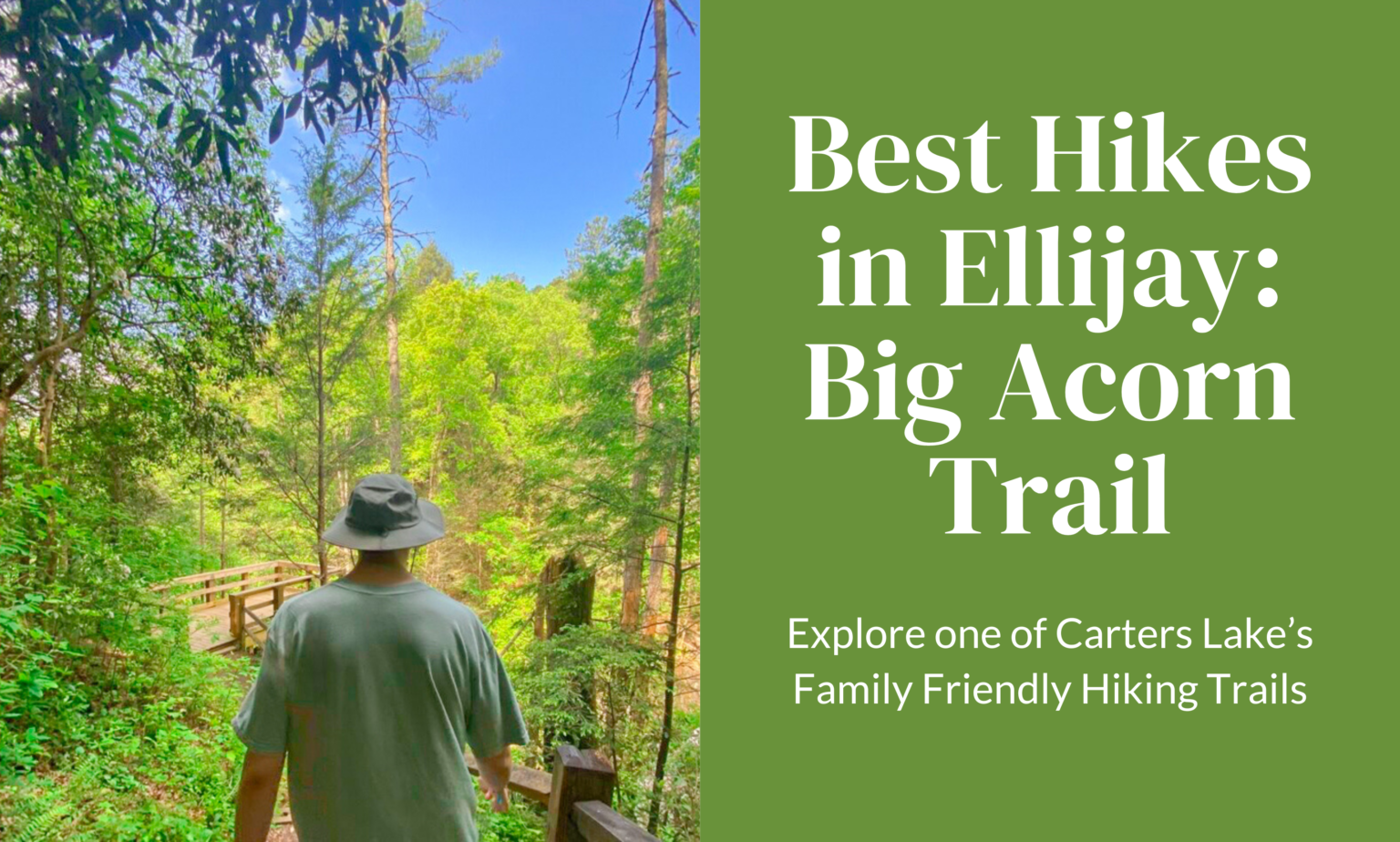 Best Hikes in Ellijay, GA: Big Acorn Trail - Gilmer County Chamber
